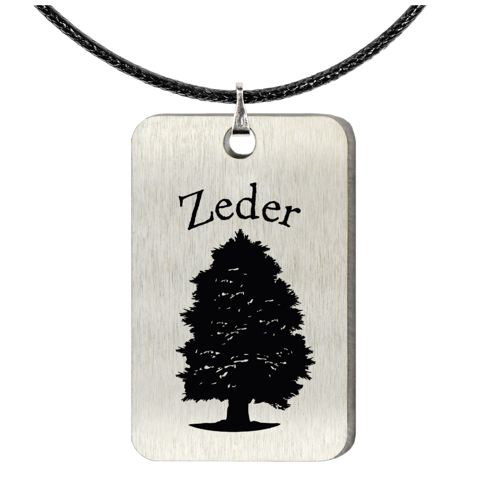 Lebensbaum Zeder nach dem keltischen Baumkreis