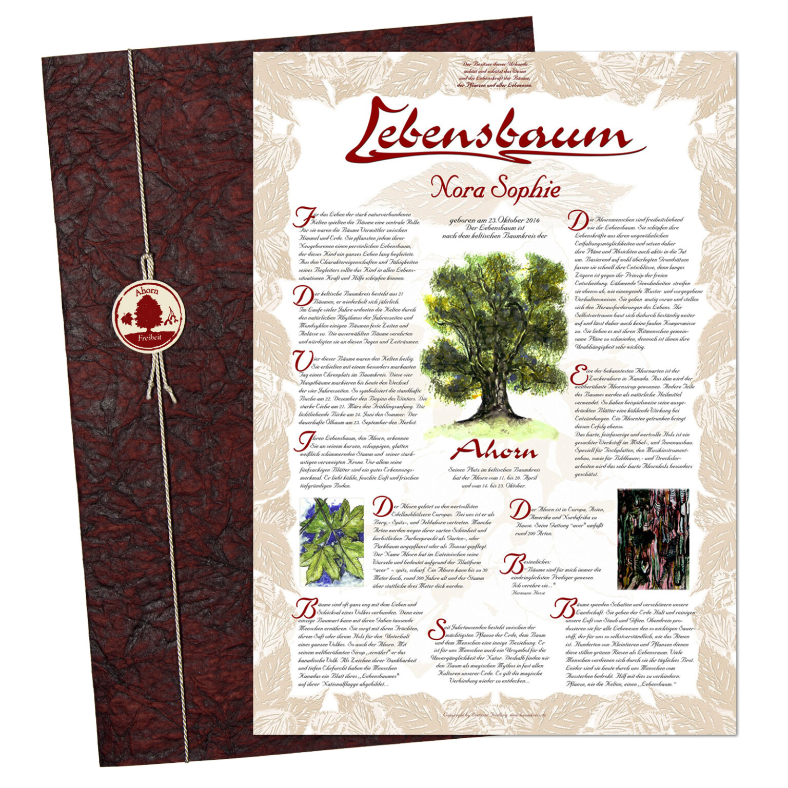 Der Lebensbaum Kalender | Baumkreis.de